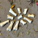 11 Deer Knuckle Toe Bones - Etsy