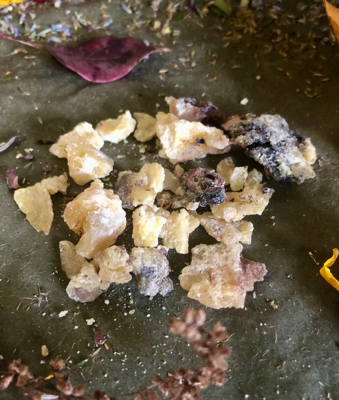 Norway Spruce Tree Resin Sap Incense - Etsy