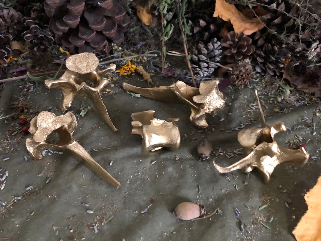 Gold Painted Bones Real Bones Lot of 5 - Etsy