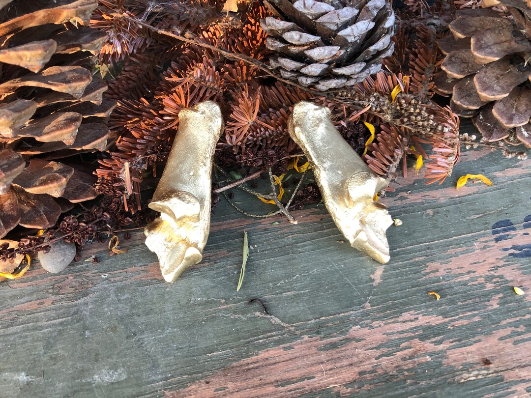 2 Gold Painted Deer Tarsal Bones! Real Bones! - Etsy