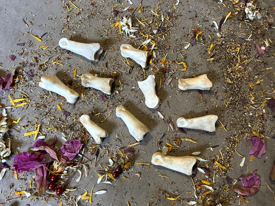 10 Deer Knuckle Bones! - Etsy