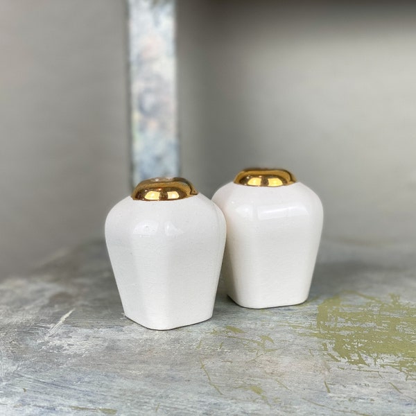 Shaker With Gold - Etsy