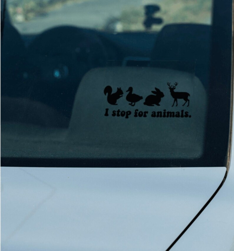 Car Window Decal, I Stop for Animals, Animal Lover Decal, Squirrel ...