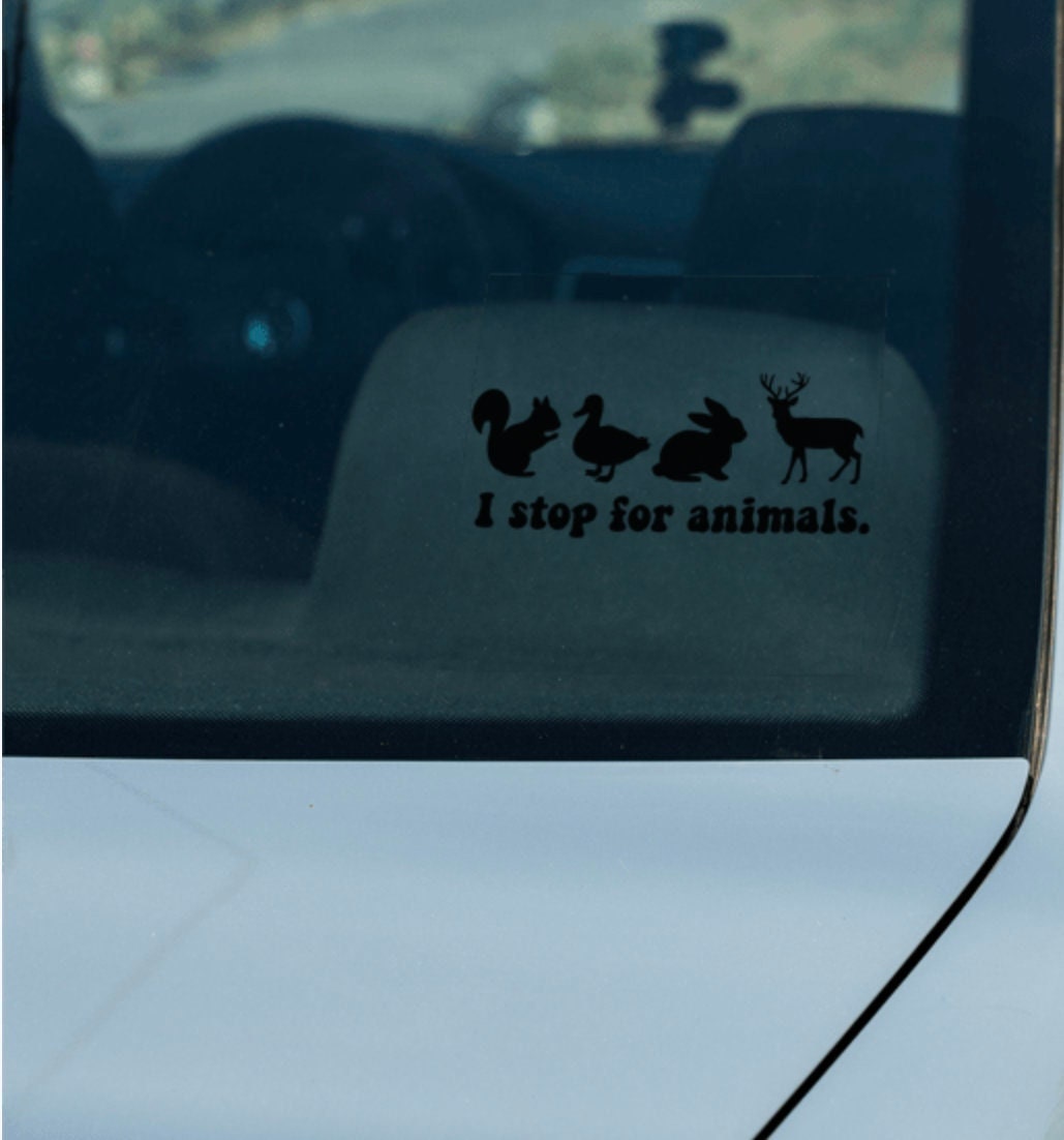 Car Window Decal, I Stop for Animals, Animal Lover Decal, Squirrel ...