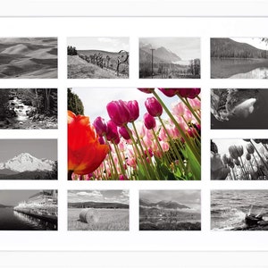 12x16 Picture Frame 13 Opening Displays One 5x7 Photo and Twelve 2x3 ...