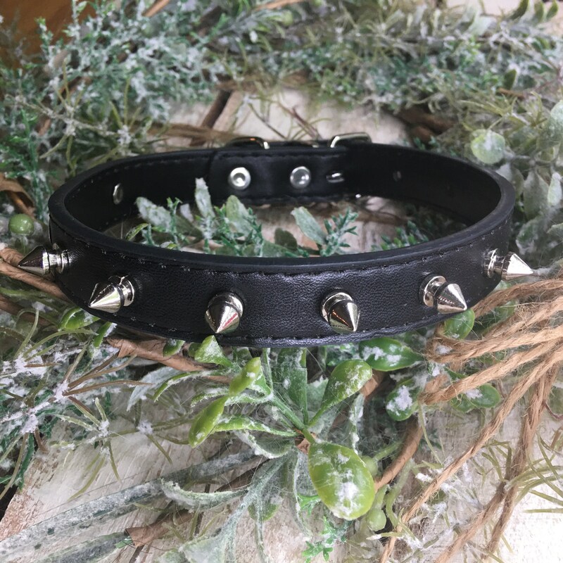 Spiked Dog Collar - Etsy
