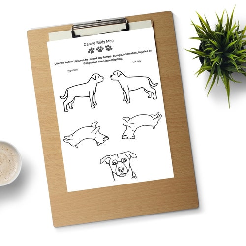 Canine Body Map A4 Instant Download | Etsy Singapore