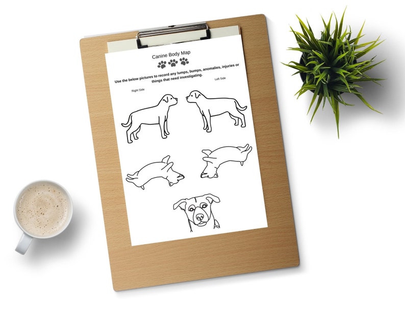 Canine Body Map A4 - Instant Download - Etsy Canada