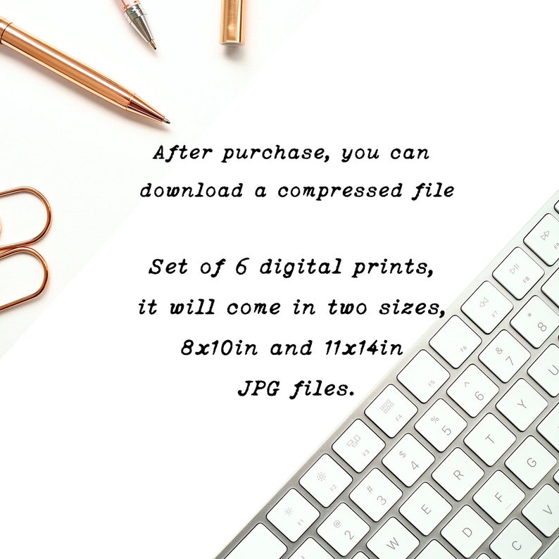 Funny Office Decor, Humorous Office Decor, Funny Home Office Decor ...