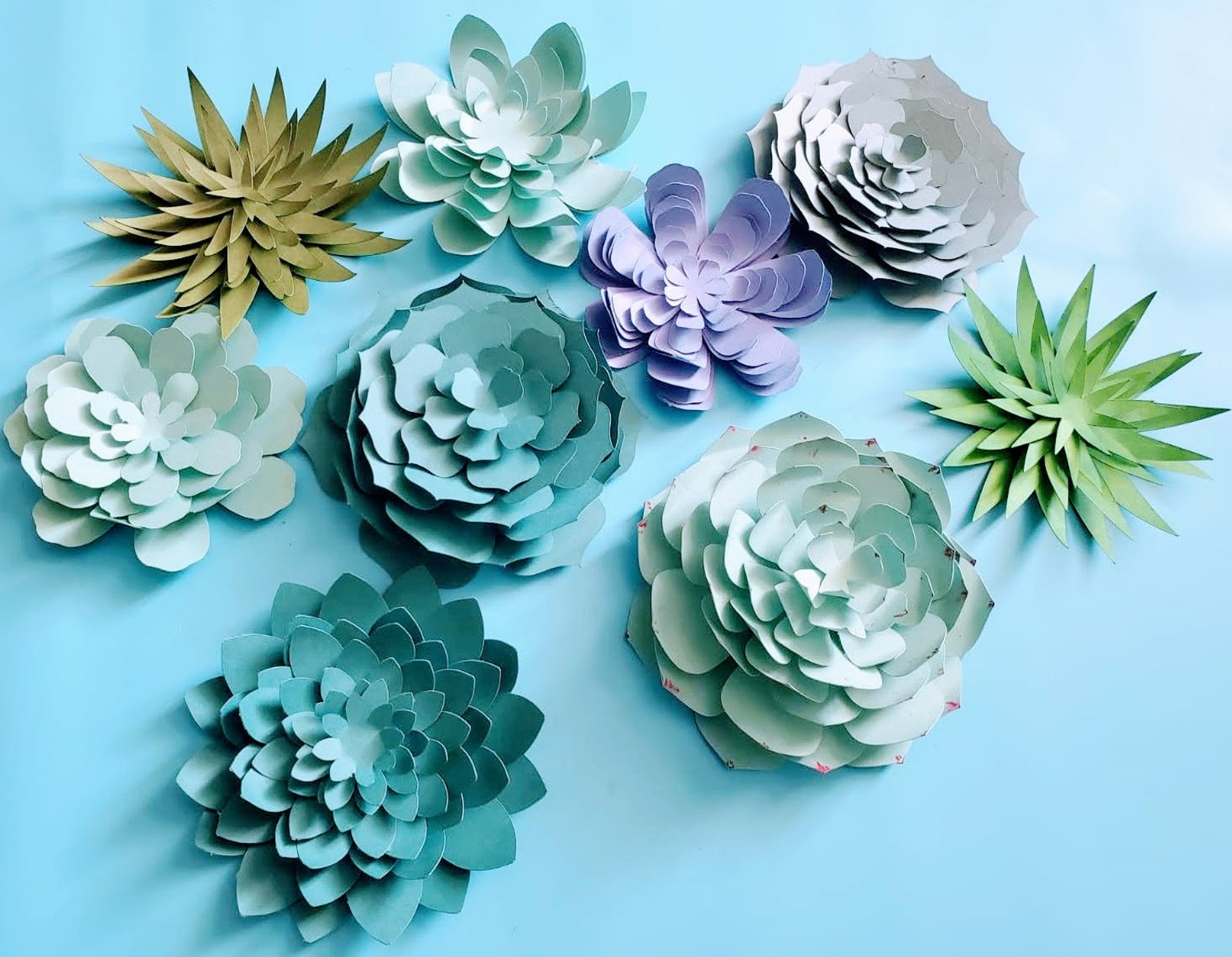 Easy Paper Succulent Svg/diy Paper Succulents/5 Different Succulents ...