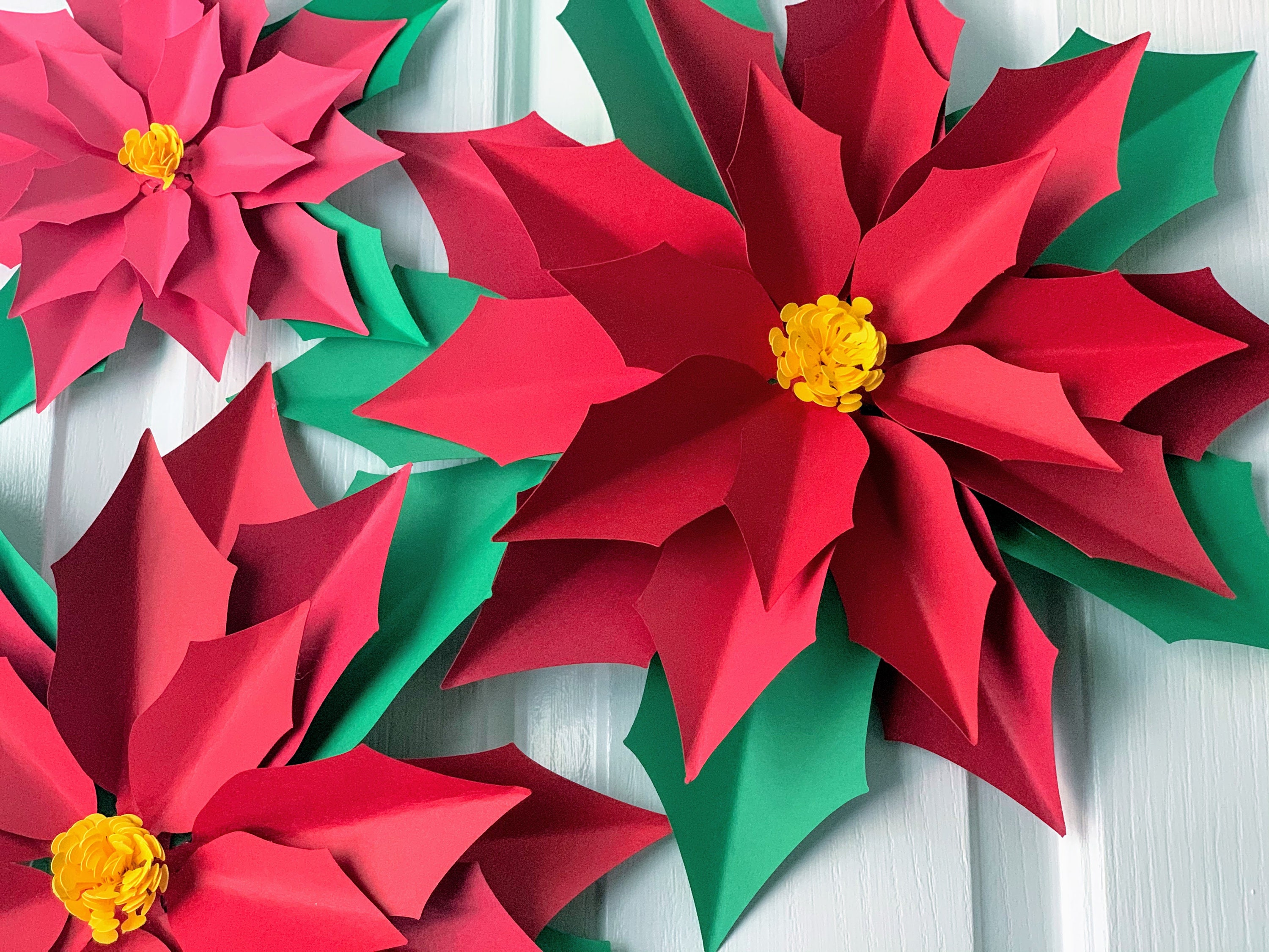 Paper Poinsettia Template/christmas Poinsettia/medium Paper - Etsy