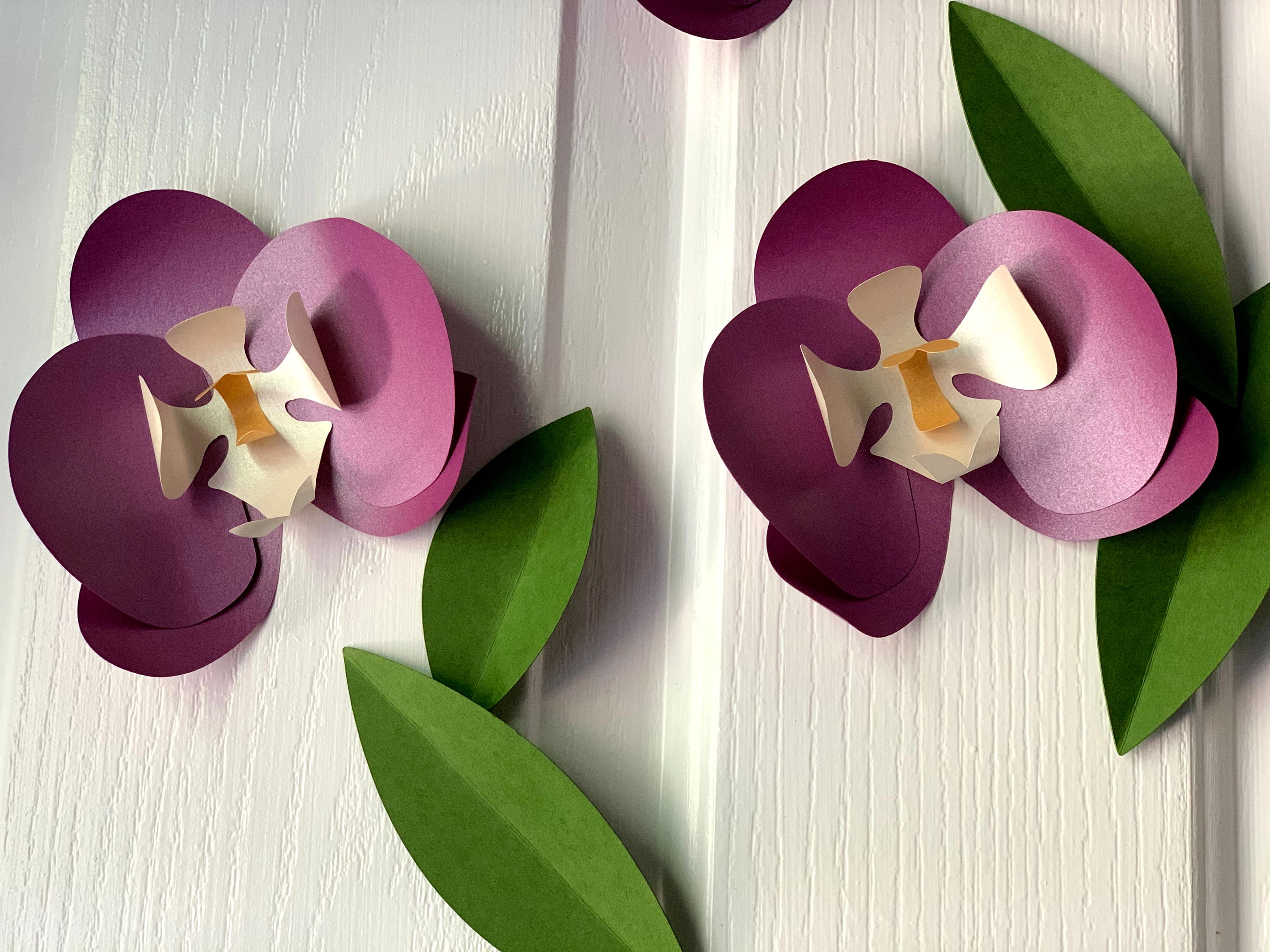 Paper Orchid Svg/orchid Paper SVG Flowers/orchid Paper Flower | Etsy