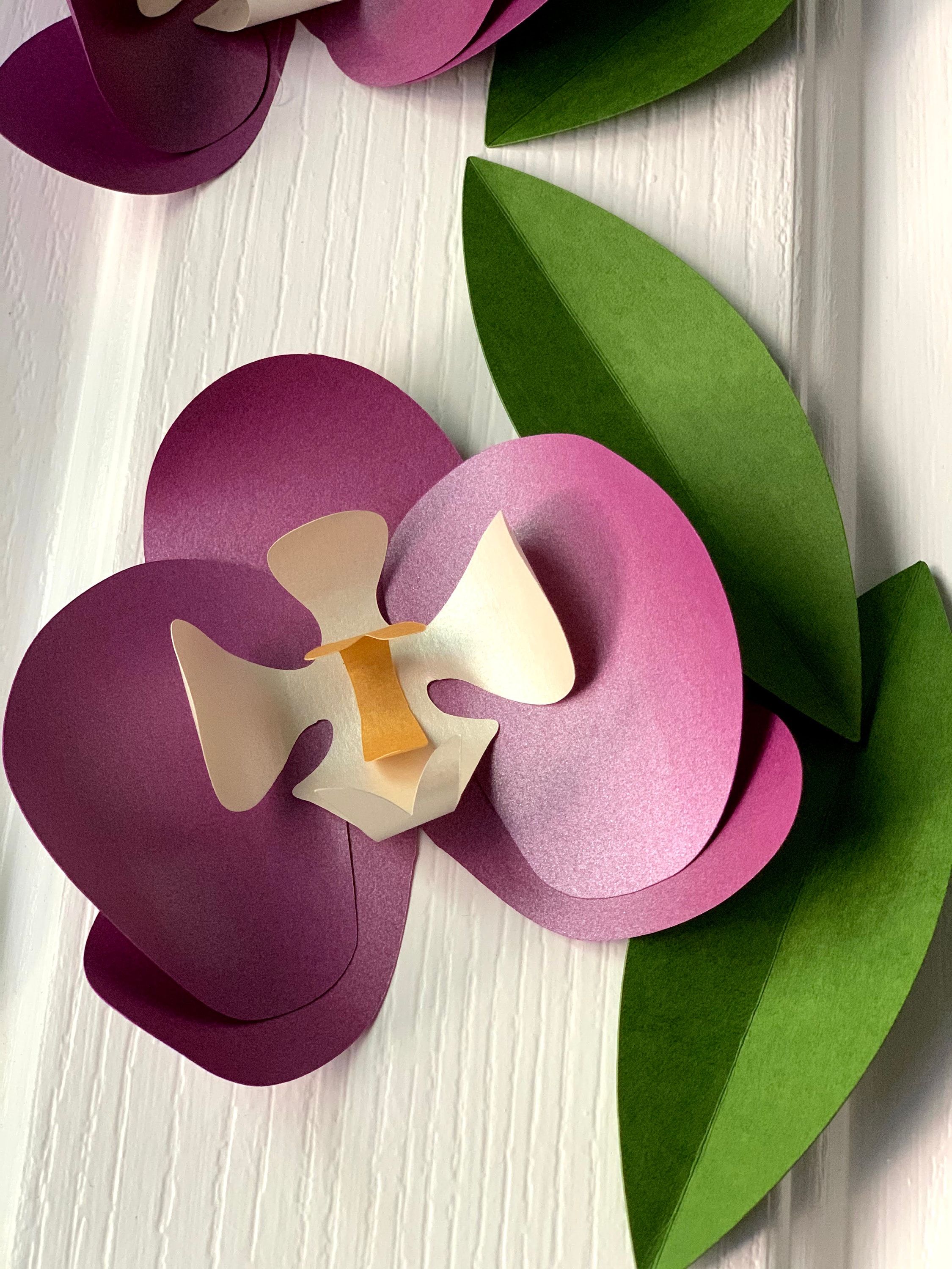 Paper Orchid Svg/orchid Paper SVG Flowers/orchid Paper Flower | Etsy