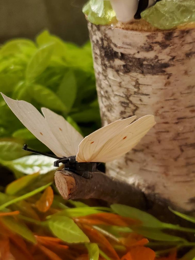 MYSTERY BOX: Enchanted Forest Log Decor | Etsy