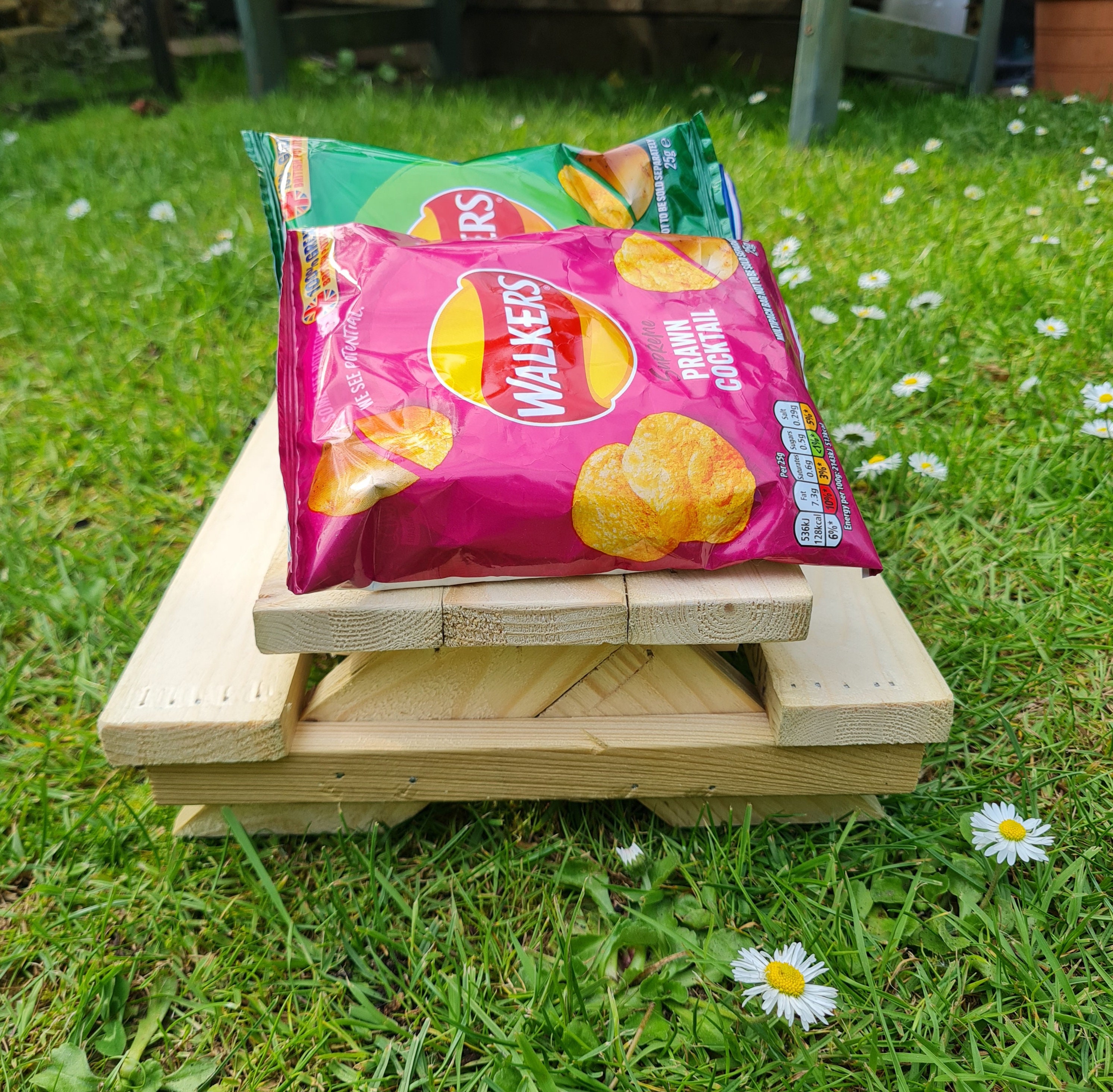 Mini Picnic Bench Display Table Bbq Kids Fun - Etsy