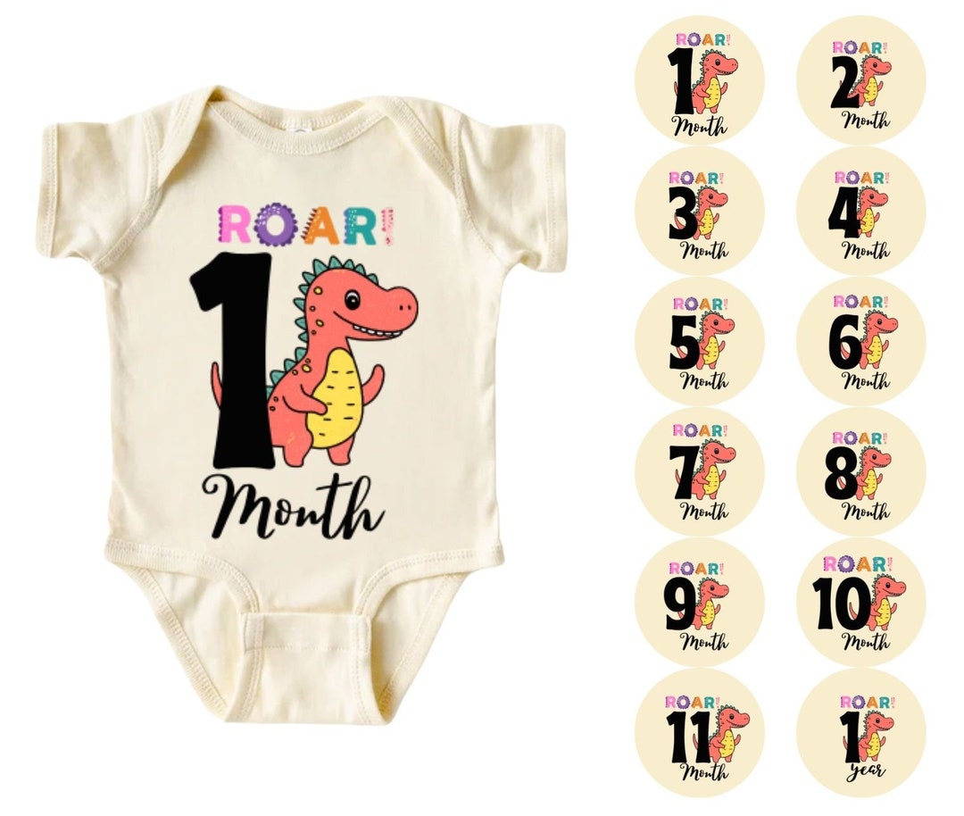 Baby Milestones Baby Monthly Milestones Bundle Baby Months Onesies ...