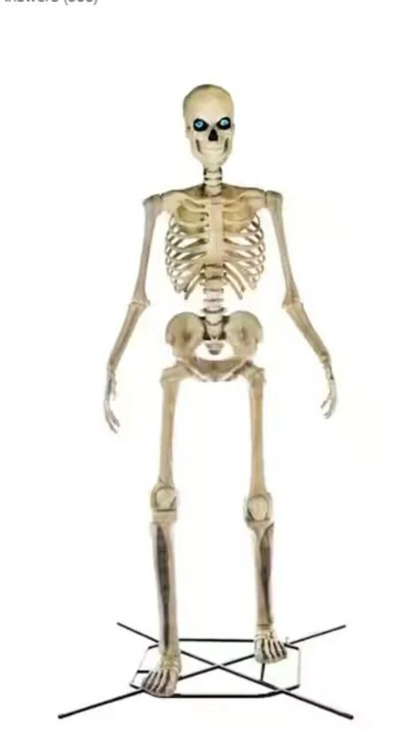 12 Ft Skeleton Joint Adapter for Head and Forarm - Etsy