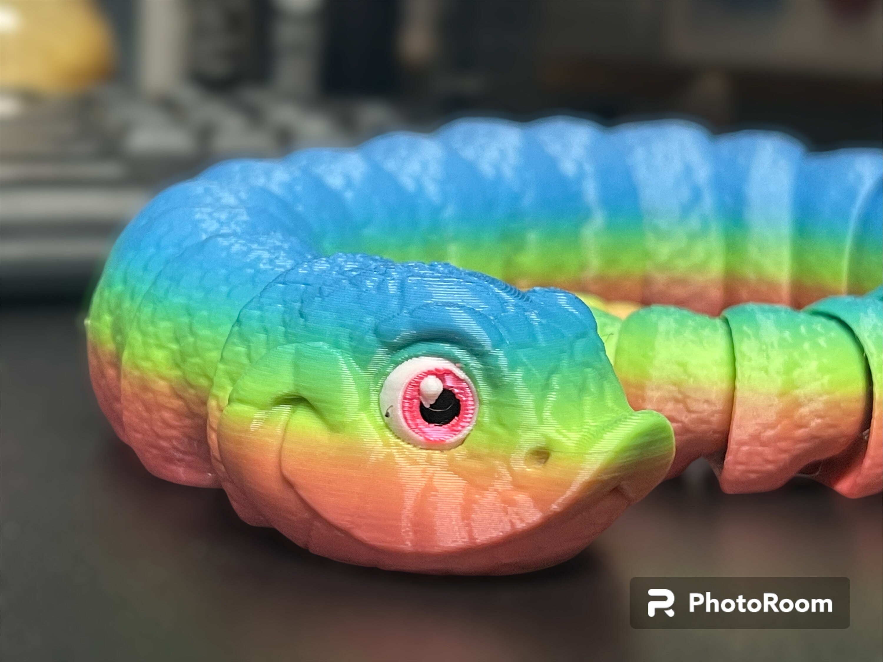 Real Colorful Snake