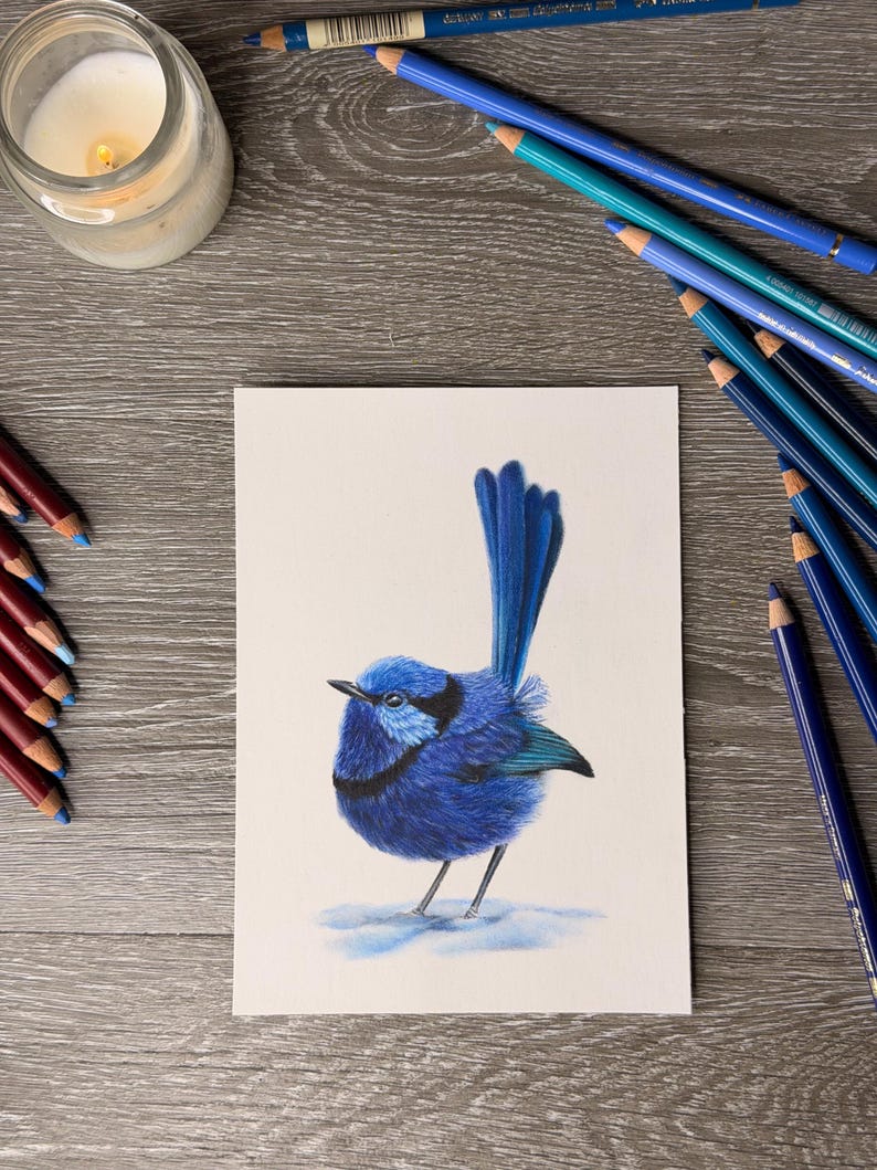 Original Blue Bird Colored Pencil Drawing – Small Wildlife Art, 13 X 18 ...