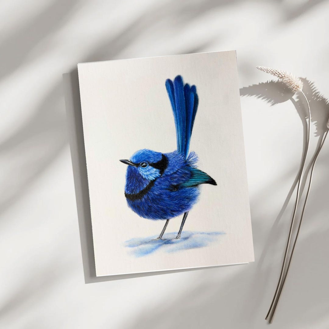 Original Blue Bird Colored Pencil Drawing – Small Wildlife Art, 13 X 18 ...