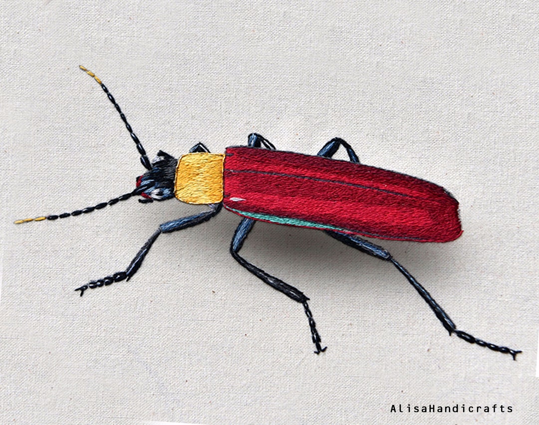 Lifelike Insect Hand Embroidery Kit, Themus Purpuratus Embroidery ...