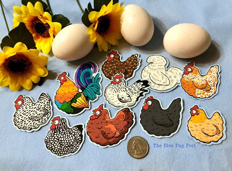Full Chicken Sticker Pack Chickens 11 Chickens Original | Etsy