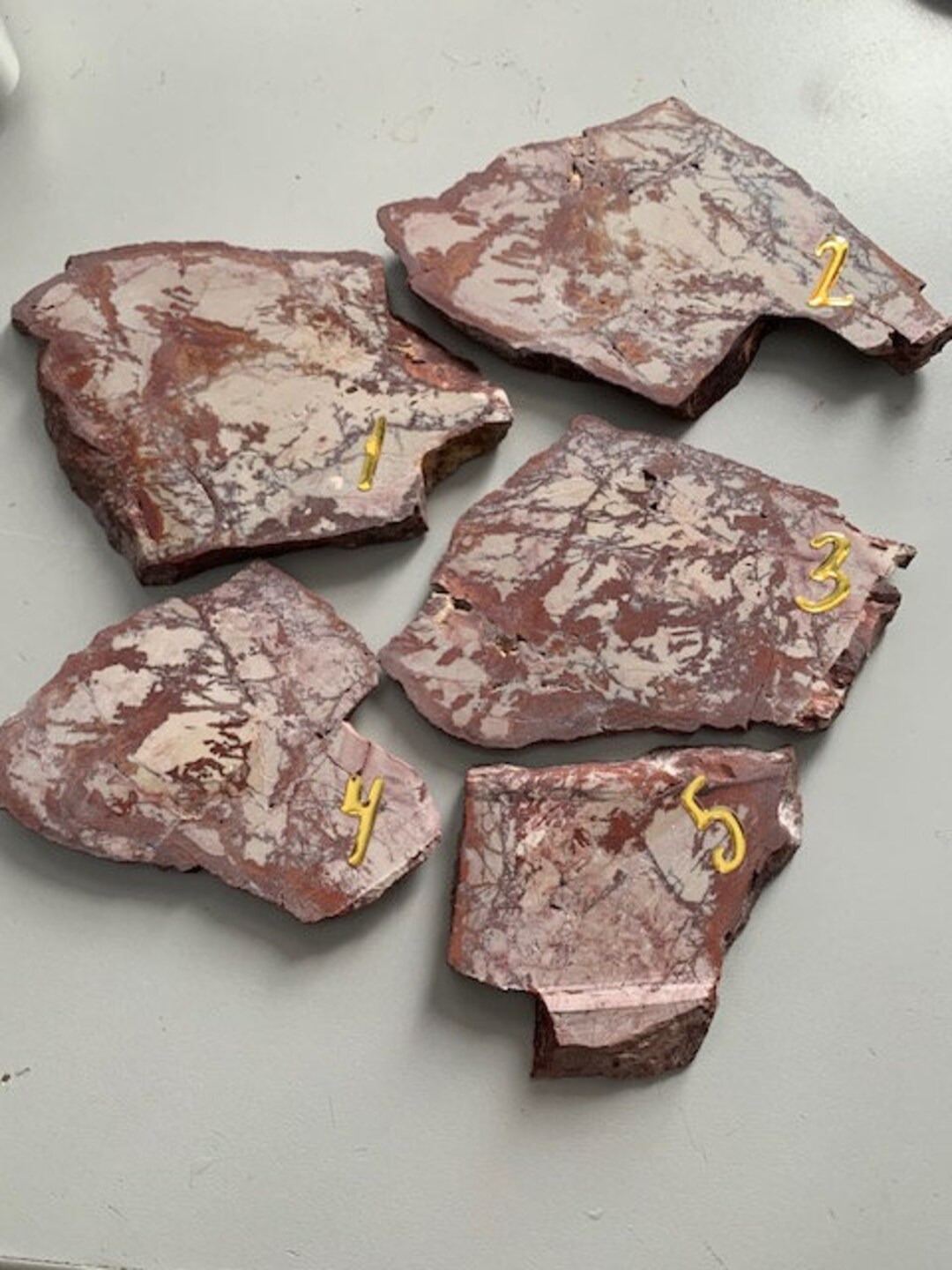 Jasper, Dead Camel Picture, Five Slabs for Cabbing, 10.5 Ounces or 300 ...