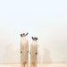 Meerkat Lovers Present 12,10, Meerkat Pair Wooden Meerkat Lovers ...