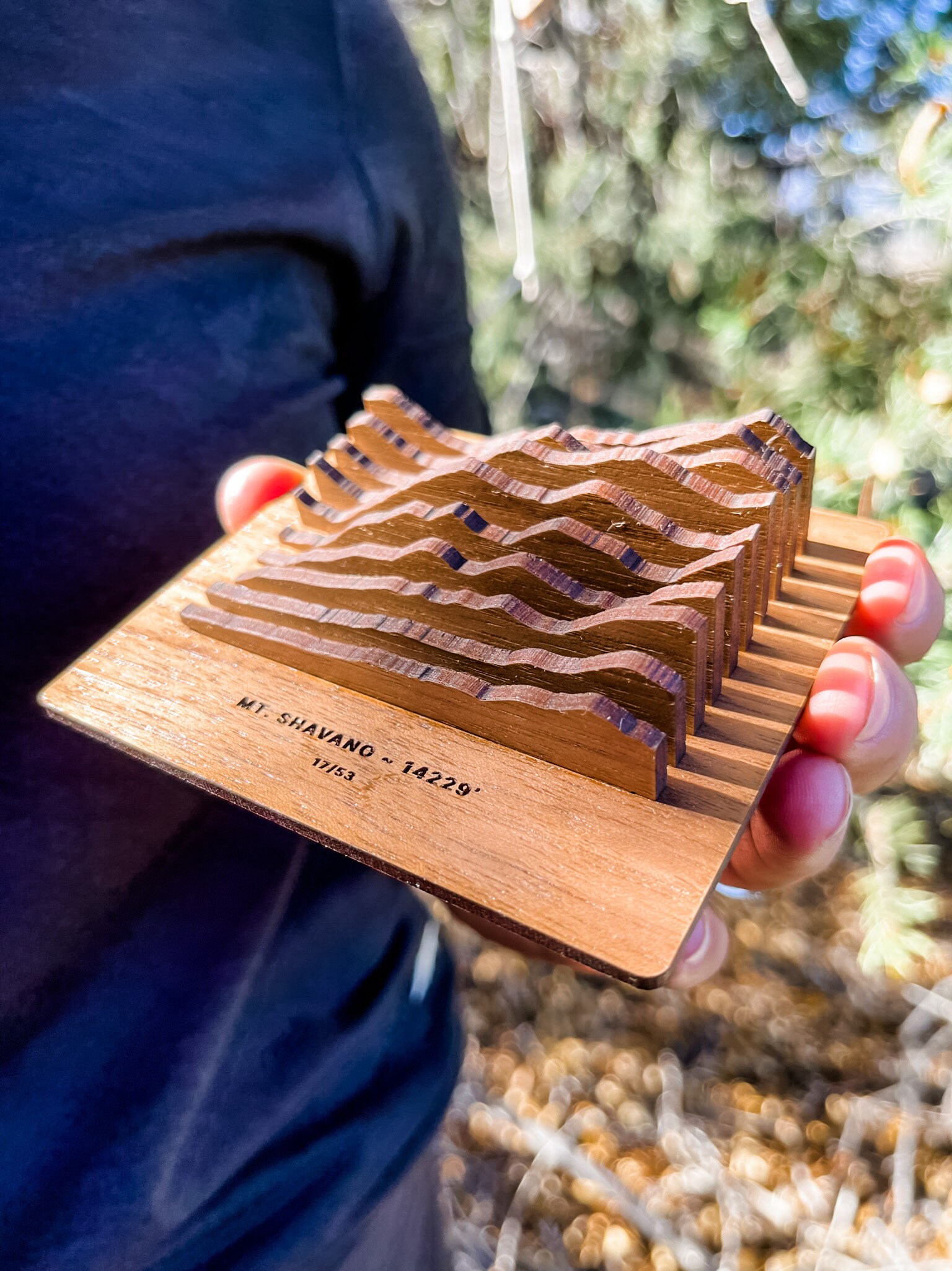 Laser Cut Wood Mountain Topography: Colorado Mountain Sign - Etsy