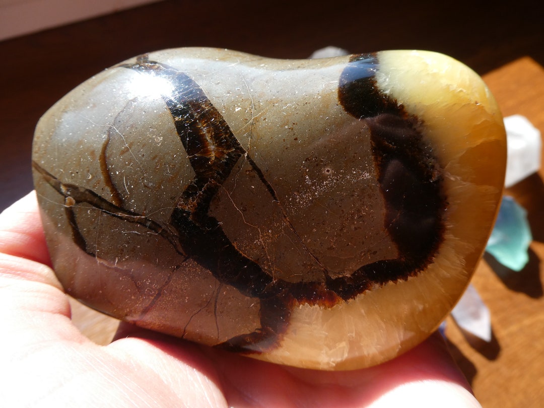 Absolutely Magical Powerful Shamanic Stone SEPTARIA / Ancient Dragon ...
