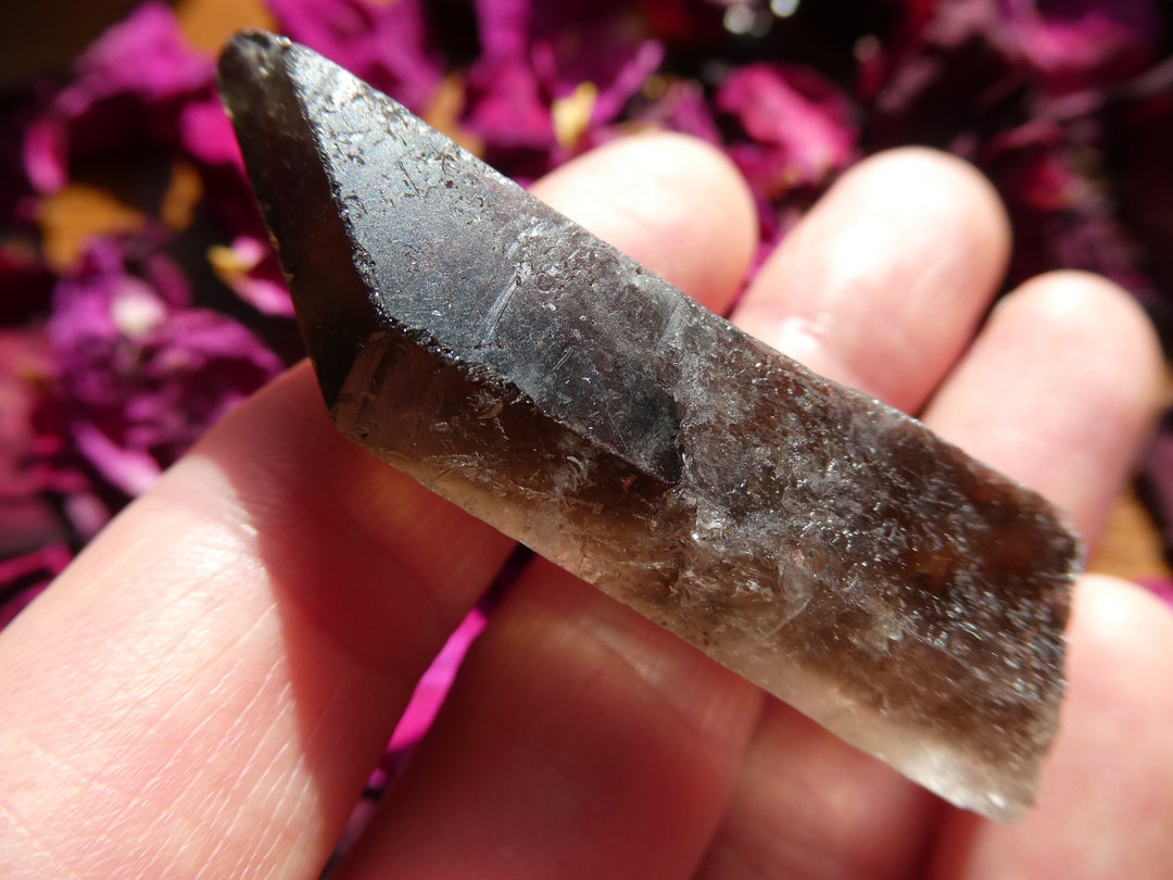 BEAUTIFUL SHAPED MORION Dark Deep Brown Smoky Quartz With Cute Imprint ...