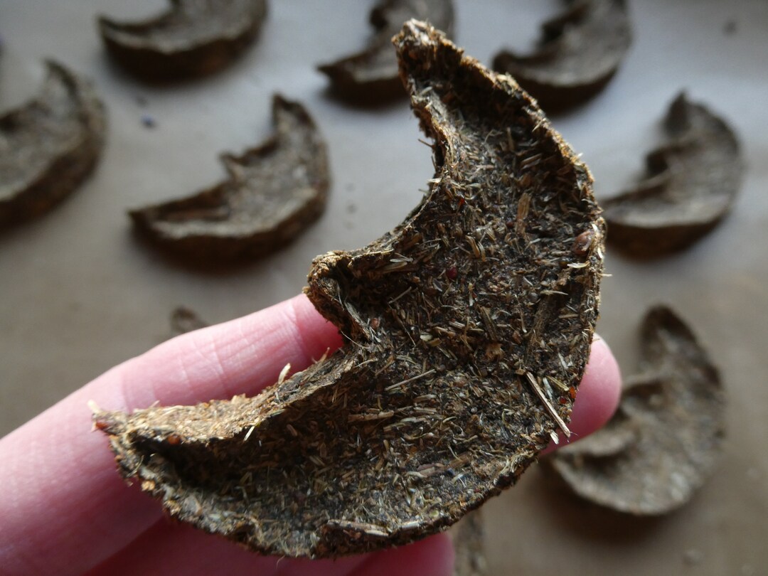 BEES and THE MOON/ 100% Natural Botanical One 1 Big Incense/ Propolis ...