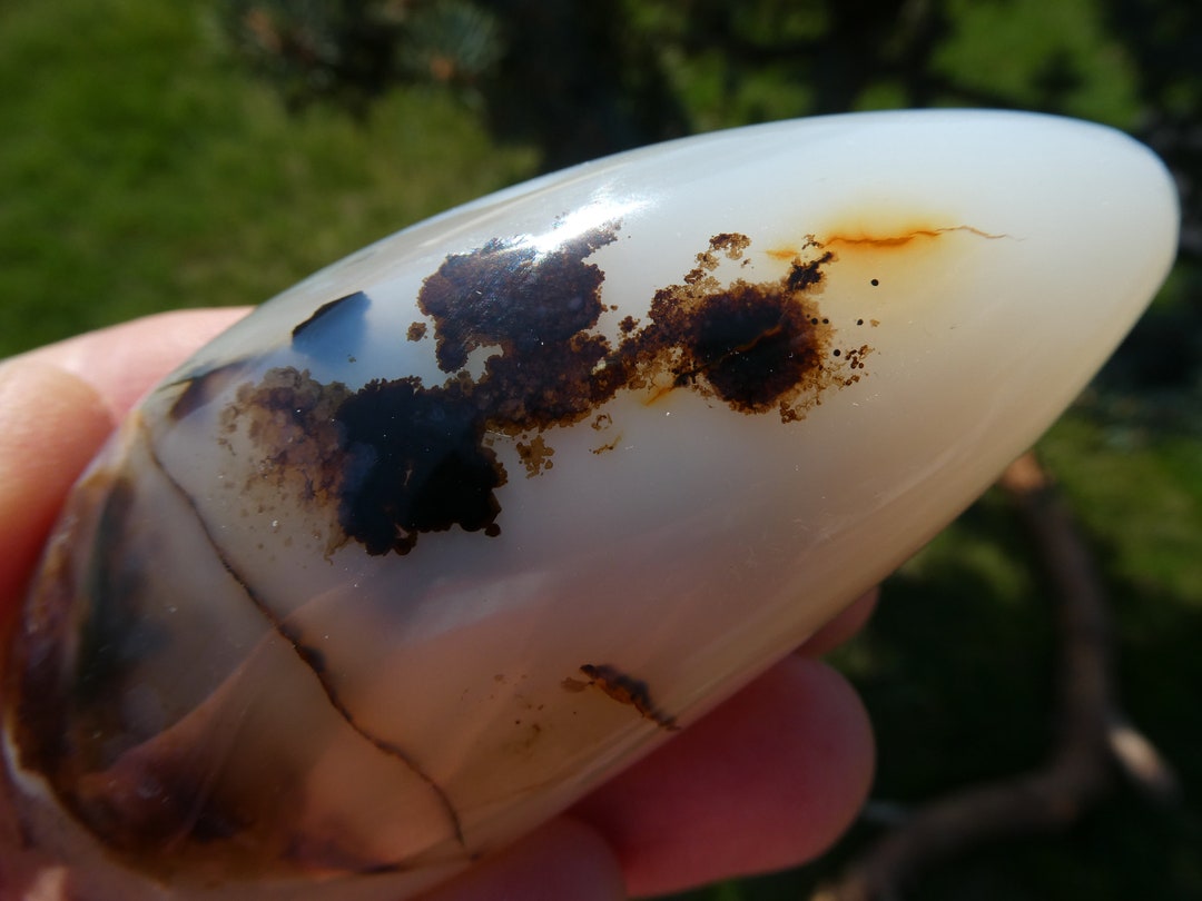 Divine Glowing Dendritic AGATE Oblong Elegant Shape Palm Stone/ Flower ...