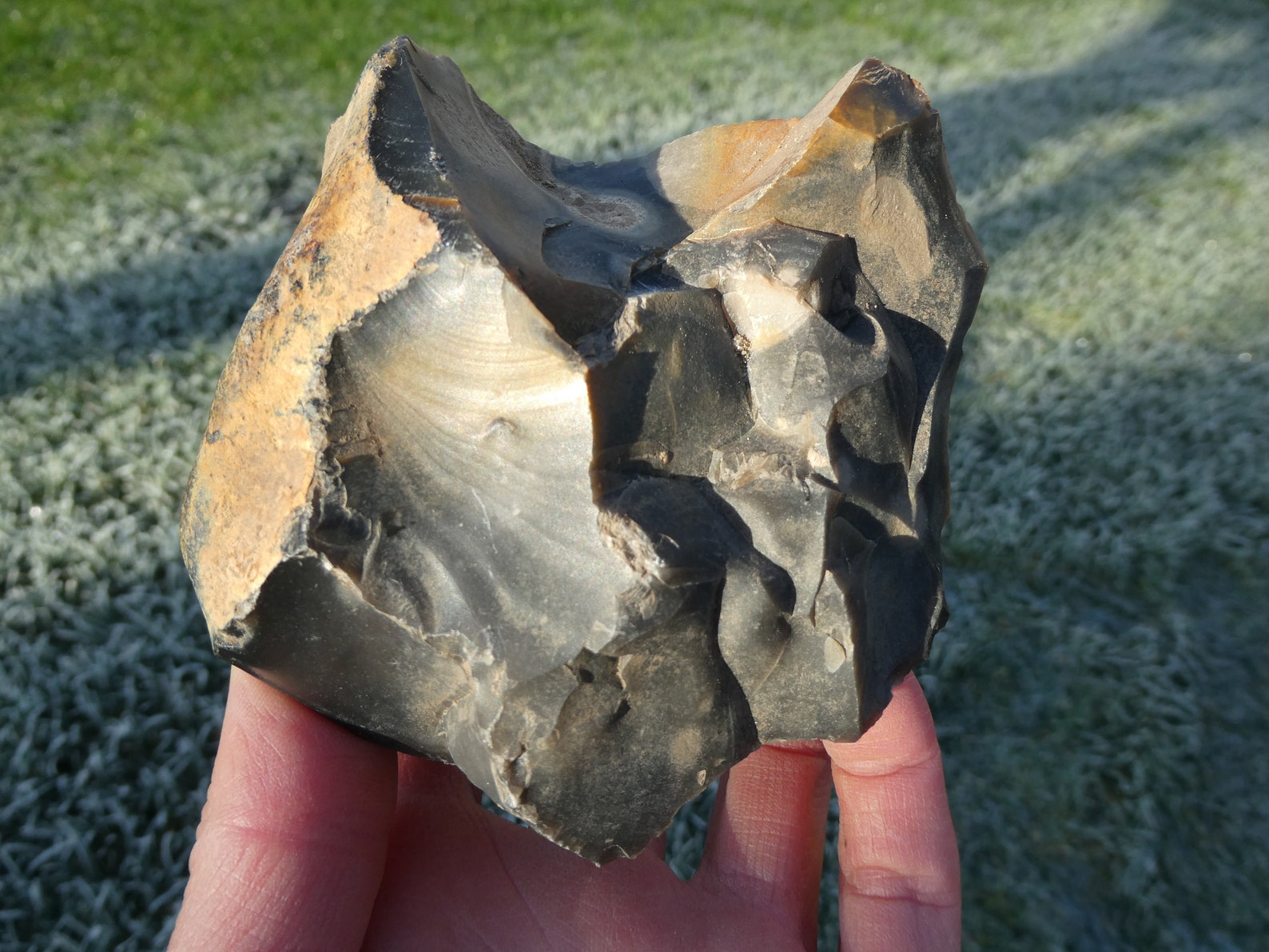 Amazing Dark Grey BROWN Raw FLINT FOX/ With Bone Fossils/ | Etsy