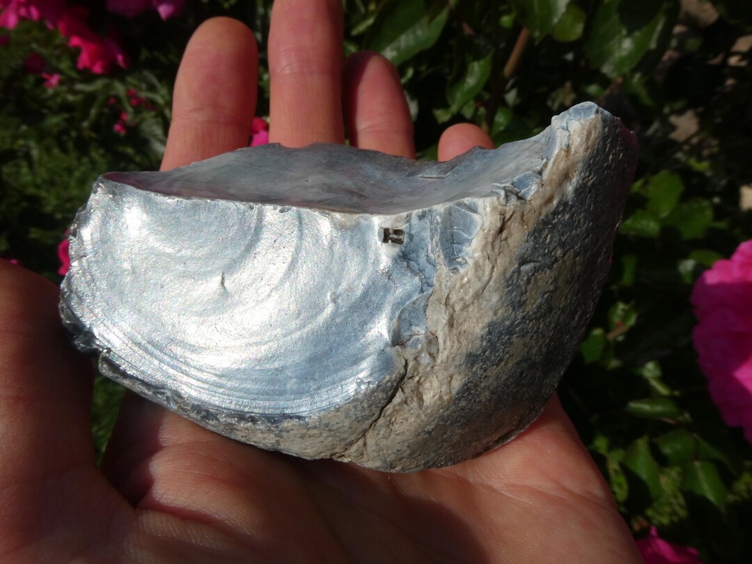 INCREDIBLY SHINING FLINT/ Lustrous Rare Surface/ Impressive Rough ...