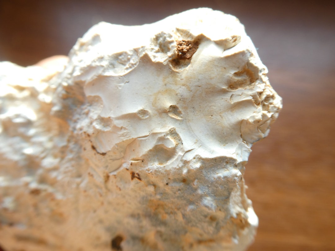 WILD SHARP FLINT Stone/ Prehistoric Imprints/ Rough Surface ...