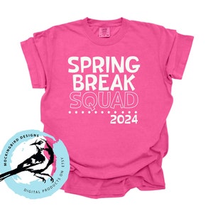 Spring Break 2024, Spring Break Squad Svg, Spring Break Crew, Vacation ...