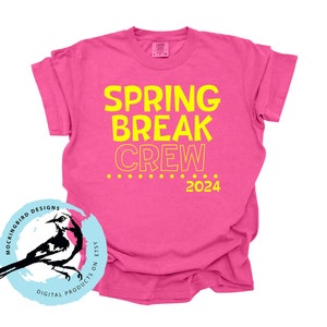 Spring Break 2024, Spring Break Crew Svg, Spring Break Squad, Vacation ...