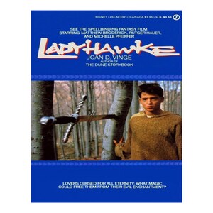 LADYHAWKE by Joan Vinge (1983) Vintage Novel (ebook) - Etsy