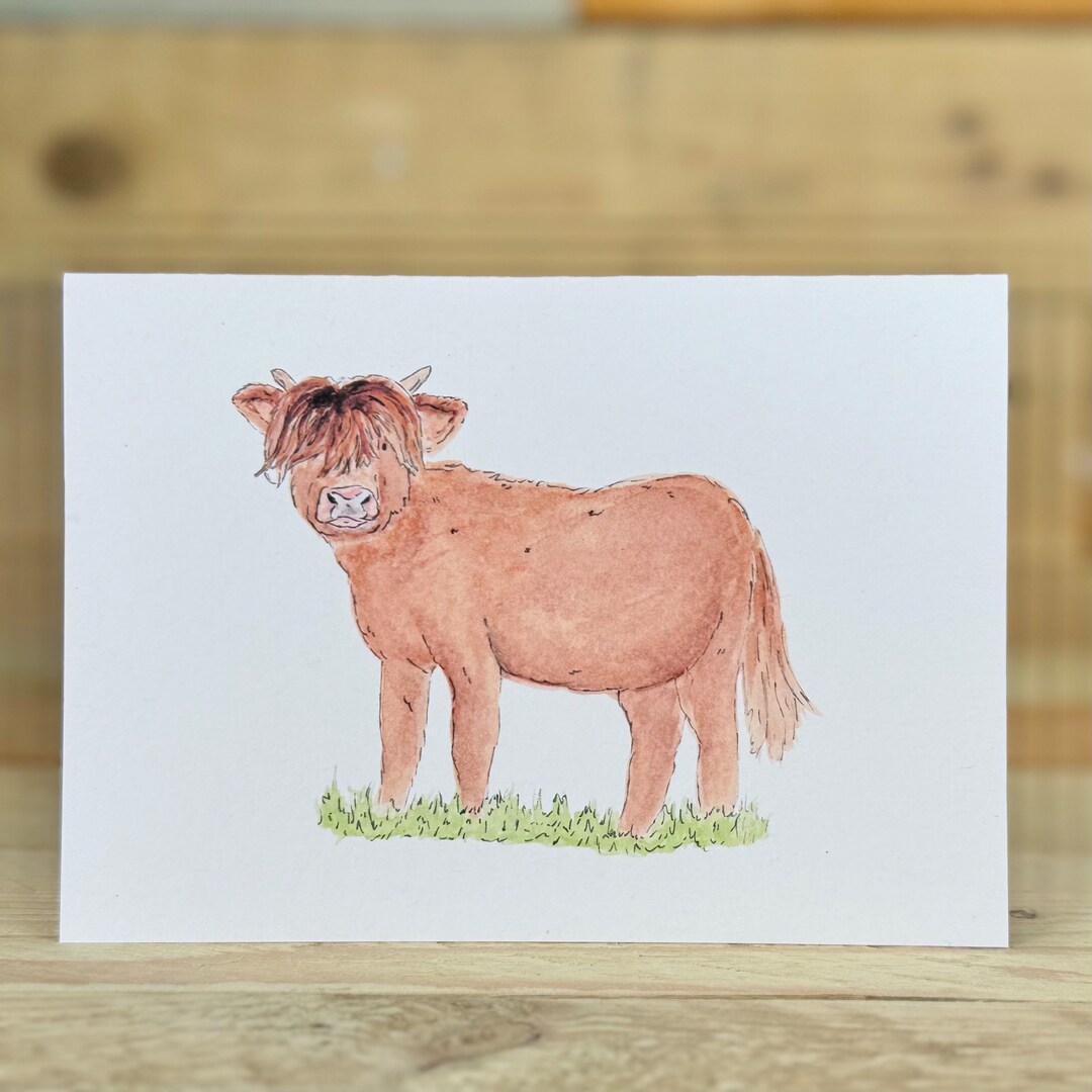 Scottish Highland Cow Blank Notelet | Blank Cards With Envelopes ...