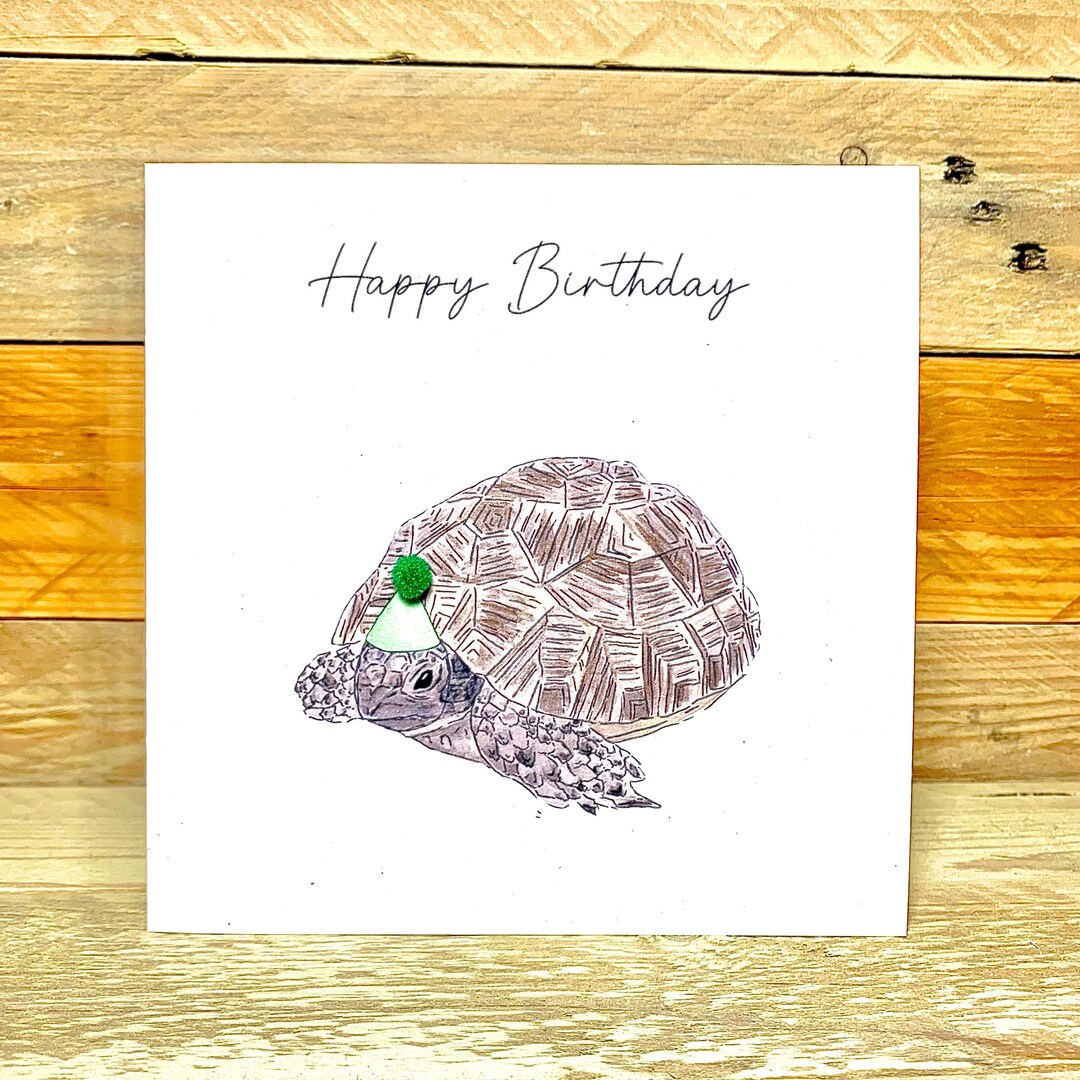 Personalised Tortoise Birthday Card | Card for Him, for Grandad, Silly ...