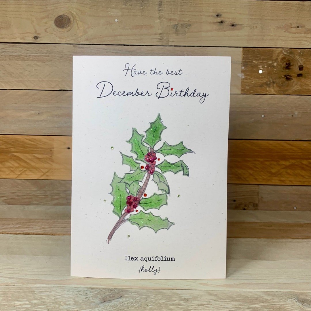 Holly December Birth Flower Birthday Card Women's Birthday Card Special ...