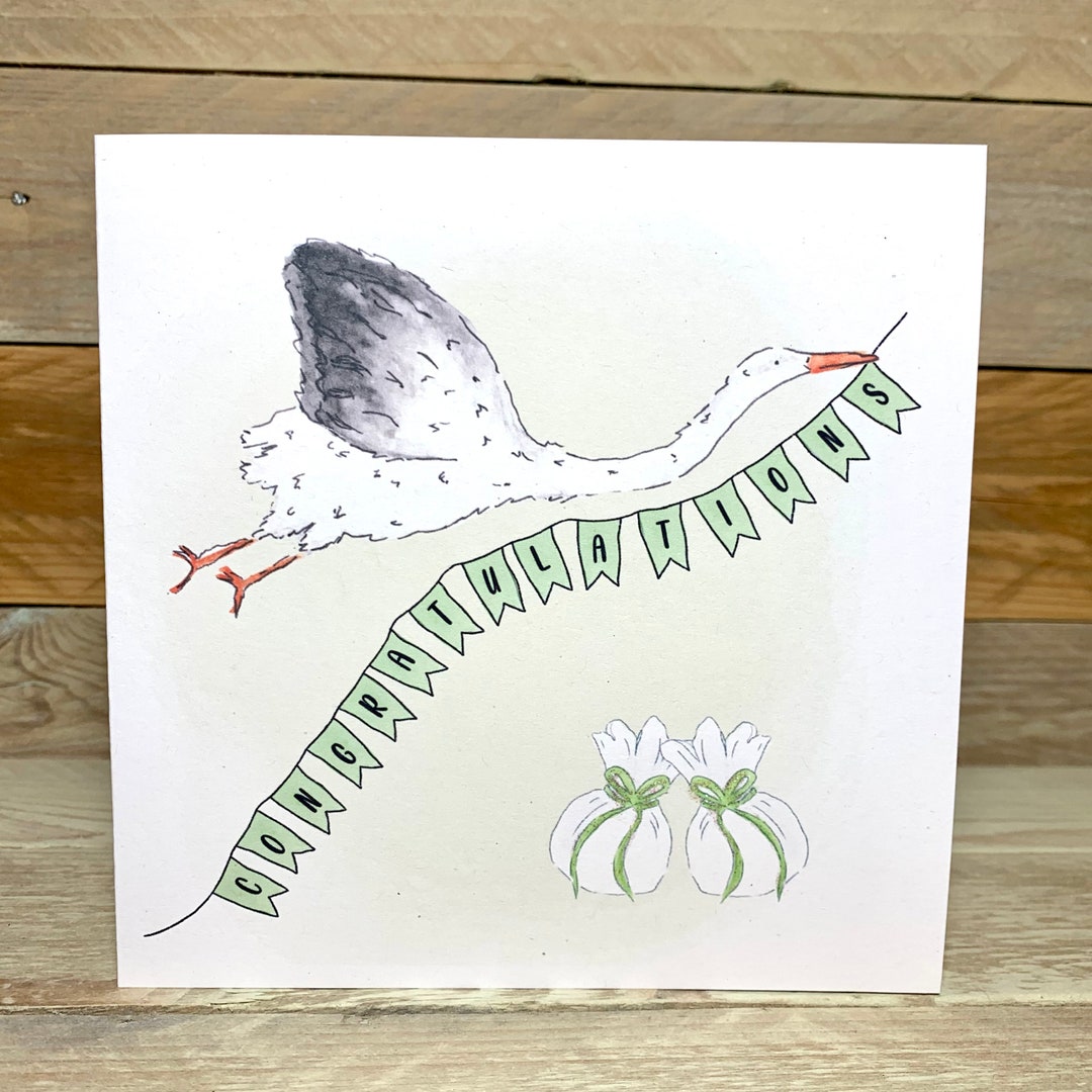 Personalised Twins New Baby Card | Stork, Newborn Twins, Hello Little ...