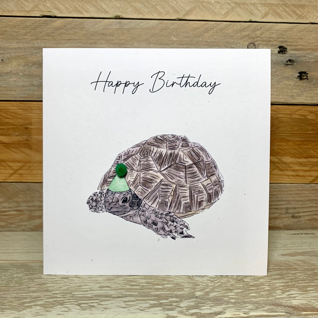 Tina the Tortoise Birthday Card Childrens Birthday Card Party Hat Funny ...