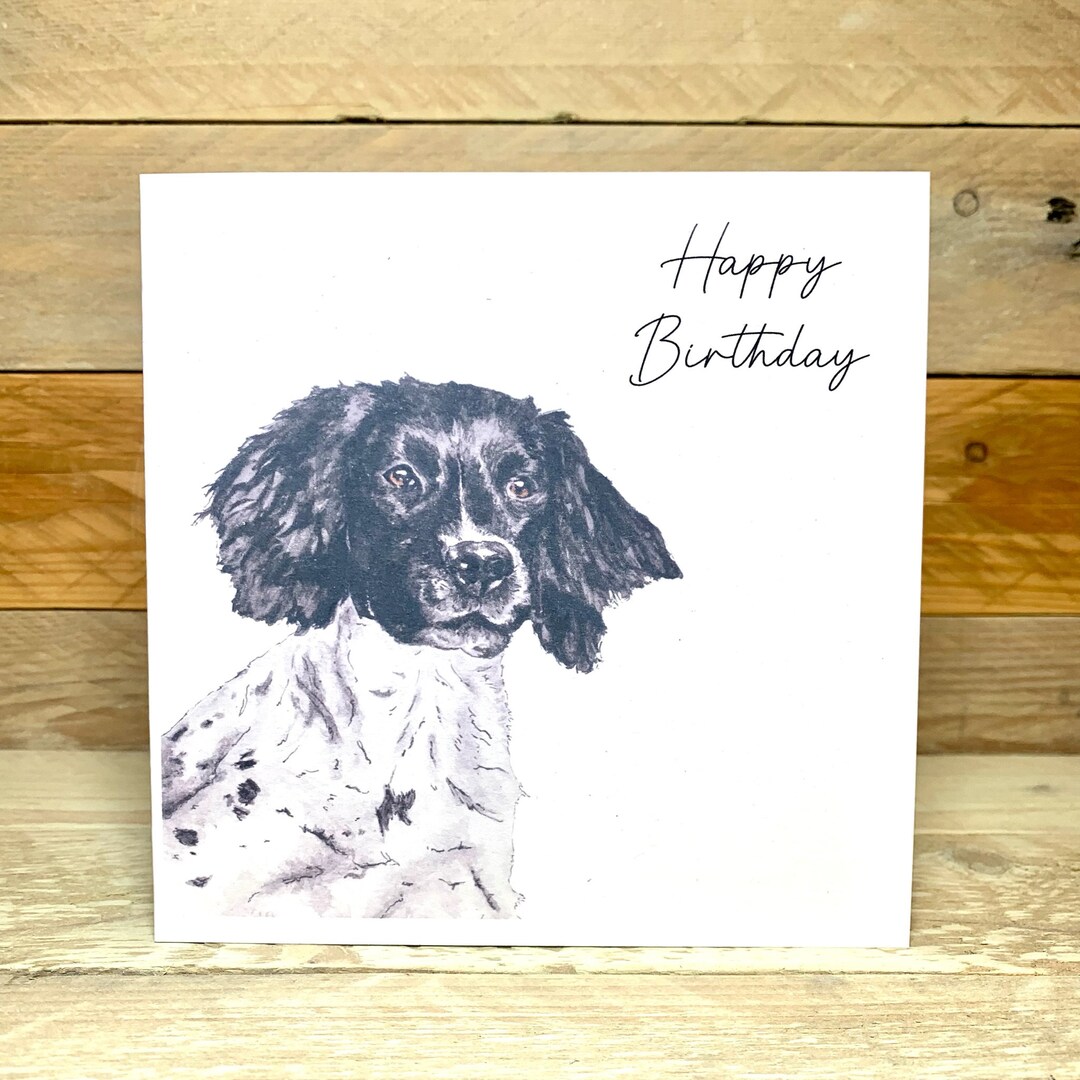 Personalised Spaniel Birthday Card | Birthday Card From Dogs, Friends ...