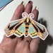 Geometric Moths // Insect Curio Die-cut Sticker Set - Etsy