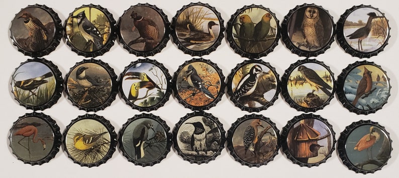 100 Animal Beer Bottle Caps Wildlife Decoration Flattened | Etsy
