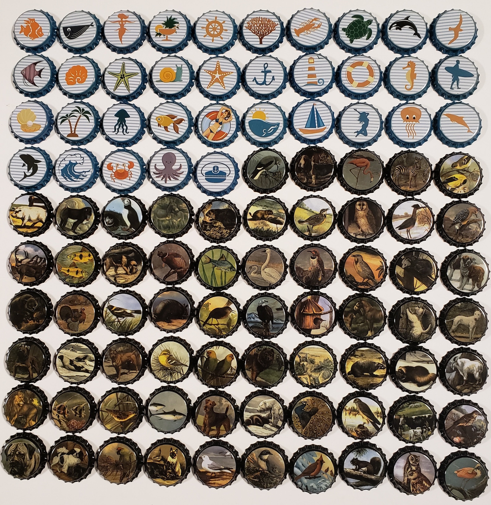 Mixed Beer Bottle Caps 350 DIFFERENT Mixed Designs No - Etsy