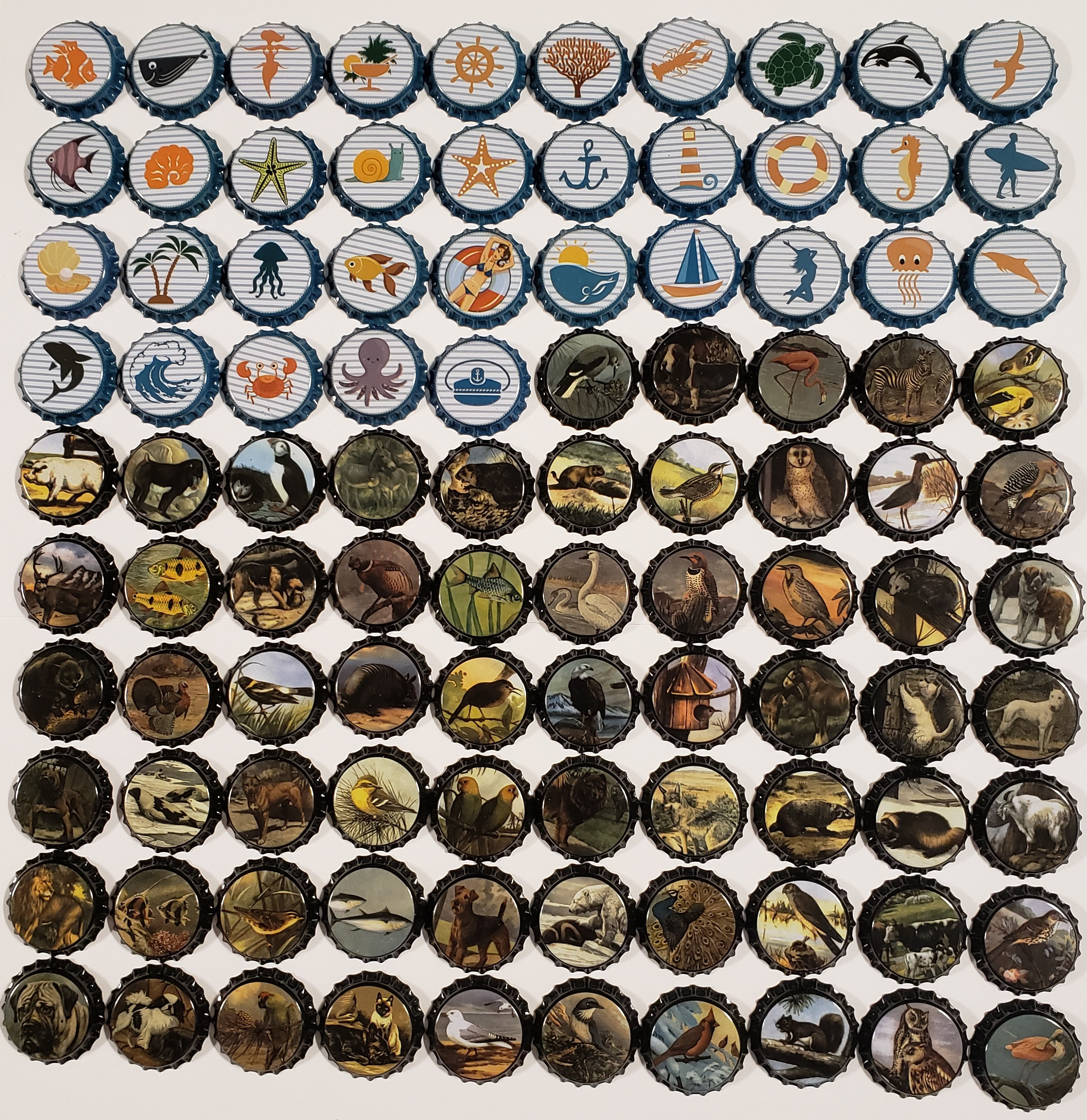 Mixed Beer Bottle Caps 350 DIFFERENT Mixed Designs No - Etsy