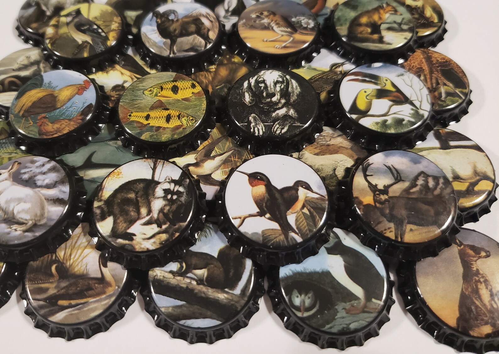 100 Animal Beer Bottle Caps Wildlife Decoration Flattened | Etsy